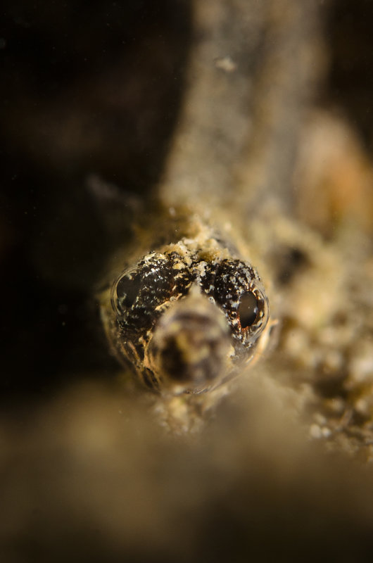 Pipe-face - Eric Keung Photography