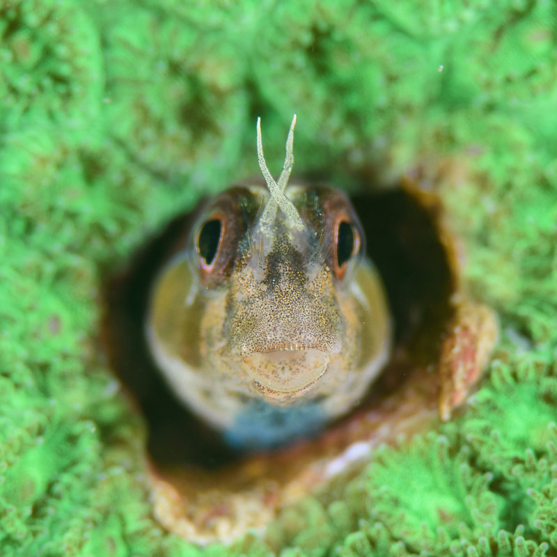 FINGER CROSSED - 聽日一定會水清 - Eric Keung Photography